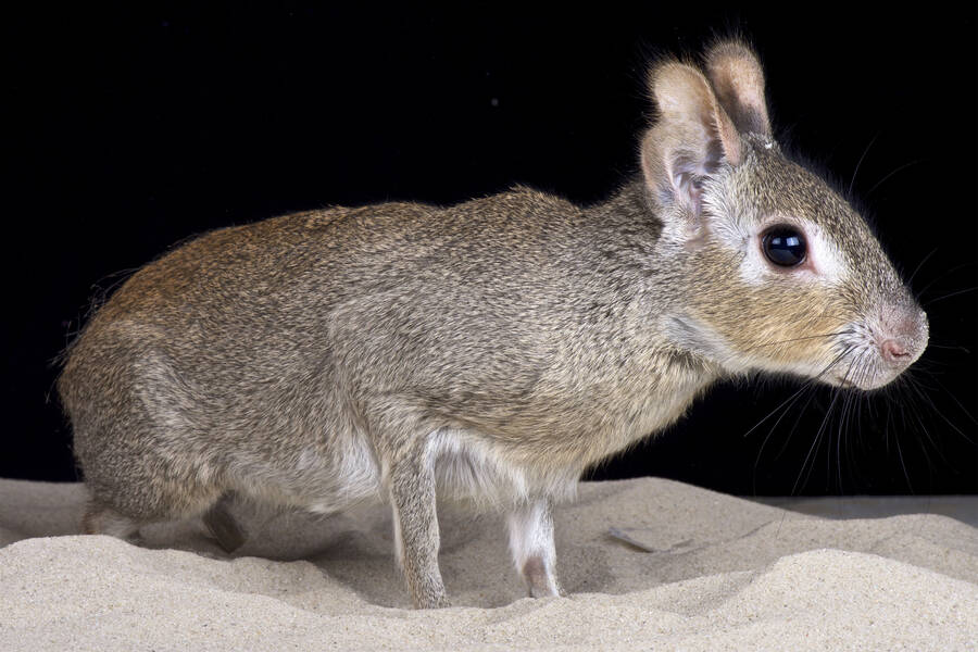 News Radio 1110 KFAB Listen Live - Omaha, United States | Online Radio Box