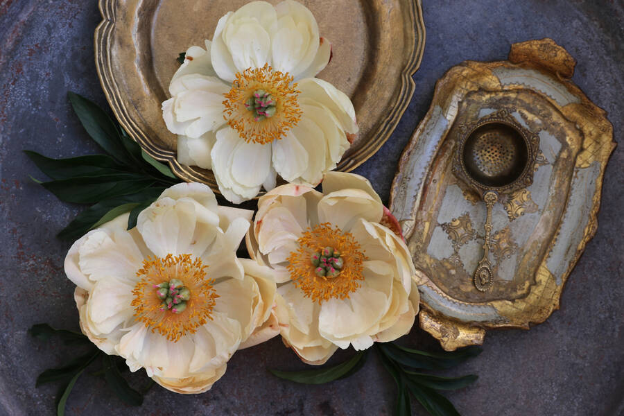 KGFY 105.5 Listen Live - Stillwater, United States | Online Radio Box