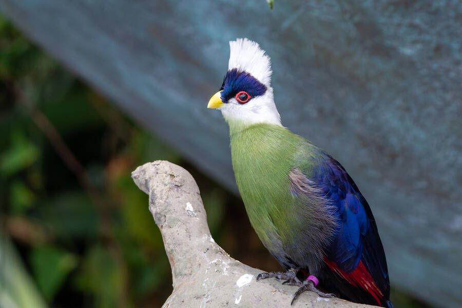 Mix 96.1 - WKKQ Listen Live - Barbourville, United States | Online ...