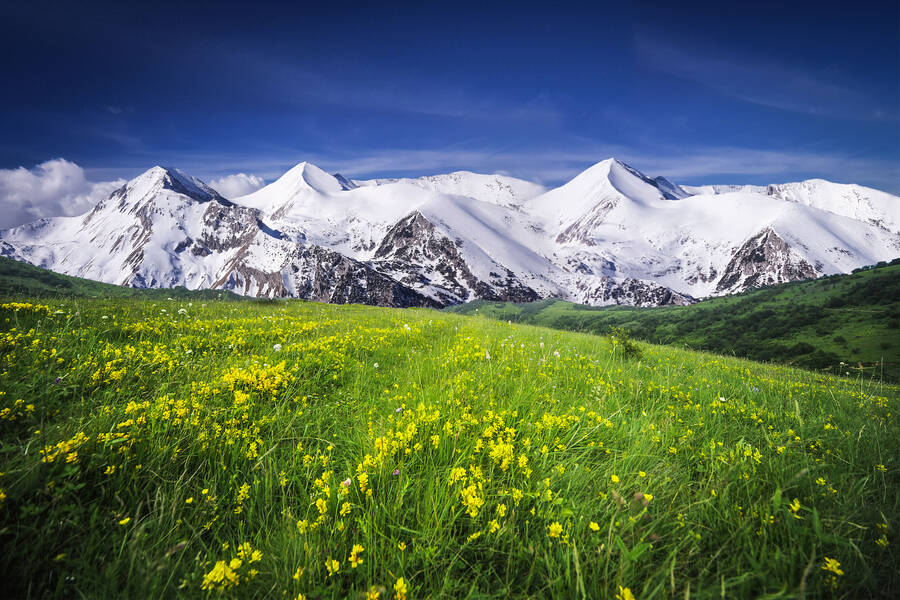 Star 92.9 - WEZF Listen Live - Burlington, United States | Online Radio Box