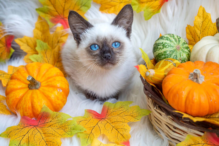 Nationwide News Network Listen Live - 90.3 MHz FM, Kingston, Jamaica ...