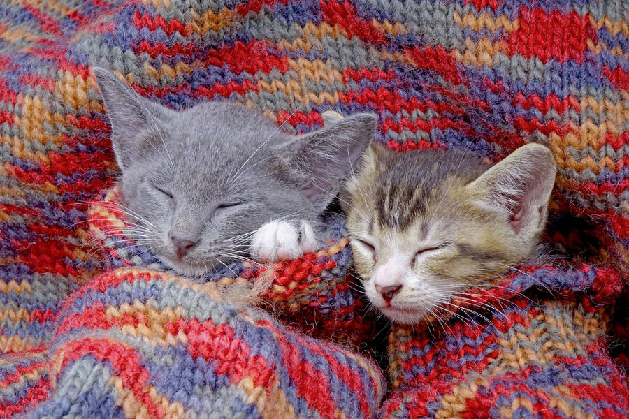 WGBH Listen Live - 89.7 MHz FM, Boston, United States | Online Radio Box