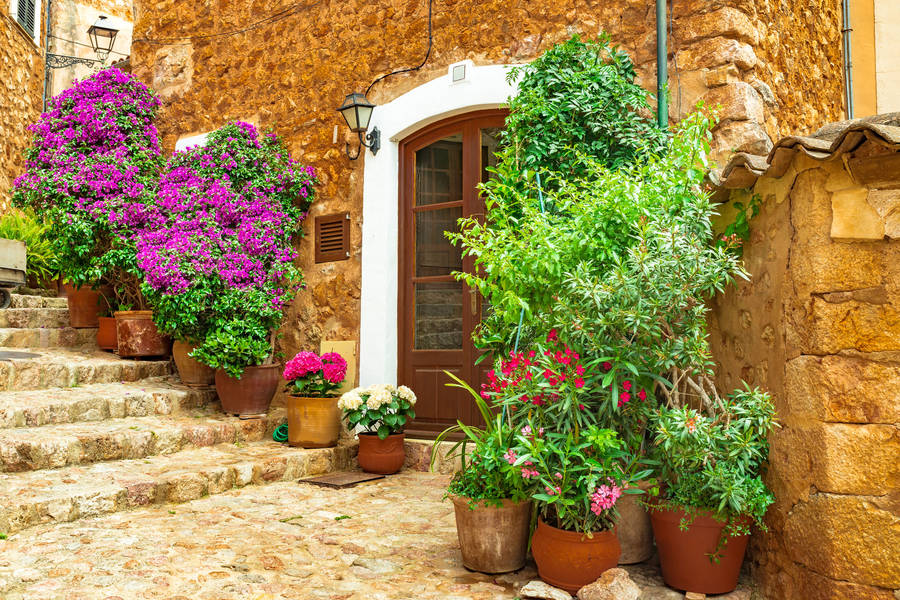 Bumma Bippera Media Listen Live - 98.7 MHz FM, Cairns, Australia ...