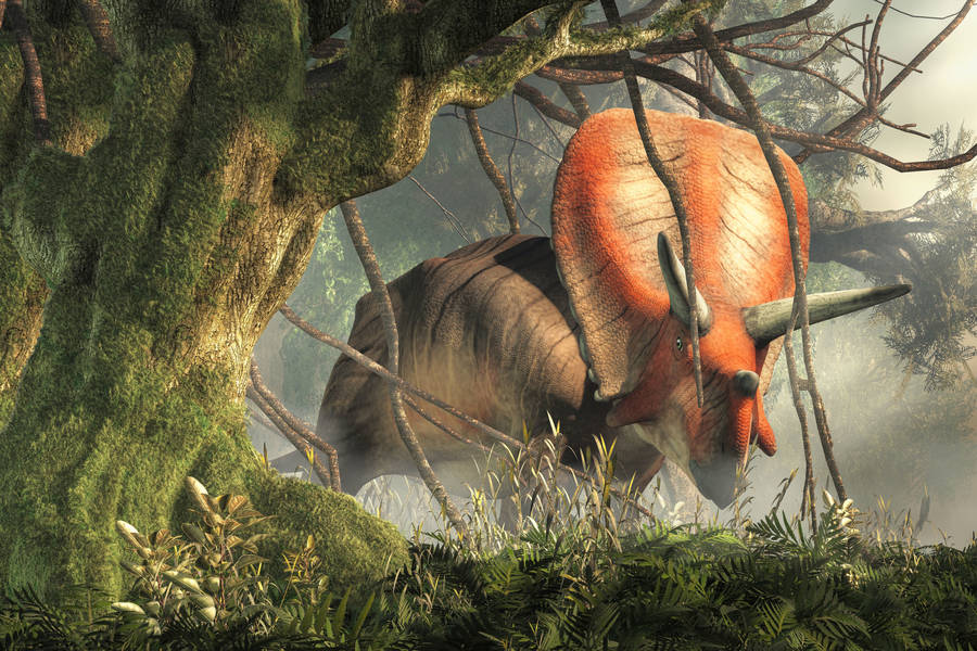 WGR 550 Listen Live - Sports Radio, Buffalo, United States | Online ...