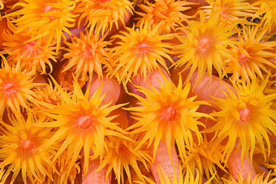 Ingwane FM live streaming - 104.5 MHz FM, Mthatha, South Africa ...