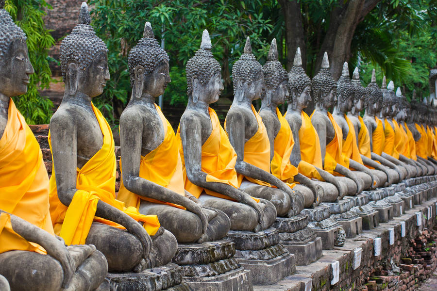 The Team 980 Listen Live - Washington, United States | Online Radio Box