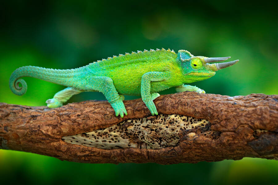 96.5 WCMF Listen Live - Rochester, United States | Online Radio Box