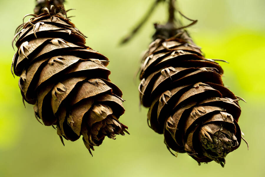 News Radio 1110 KFAB Listen Live - Omaha, United States | Online Radio Box