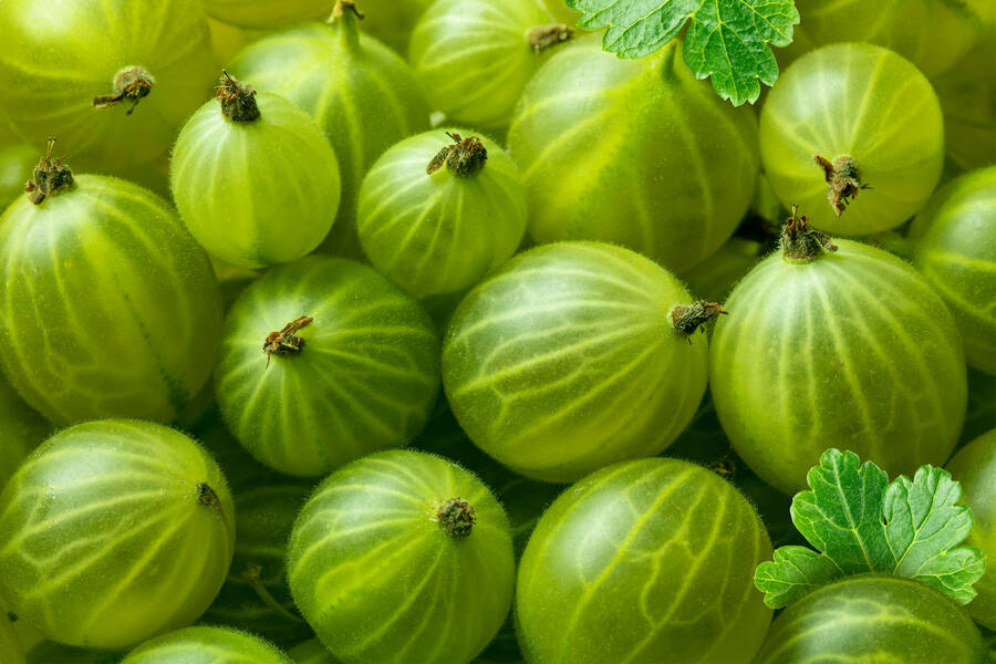 95.3 KDDD Listen Live - 95.3 MHz FM, Dumas, United States | Online ...