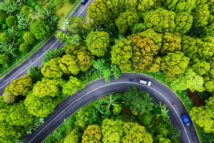 103-9 The Pig KPGG-FM Listen Live - Texarkana, United States | Online ...