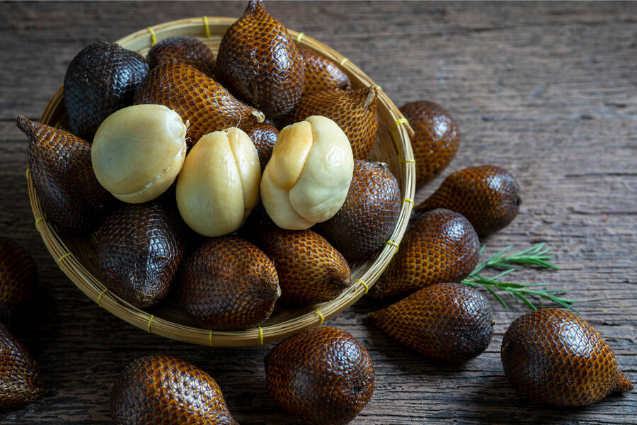 Talk 1300 AM - WGDJ Listen Live - Rensselaer, United States | Online ...