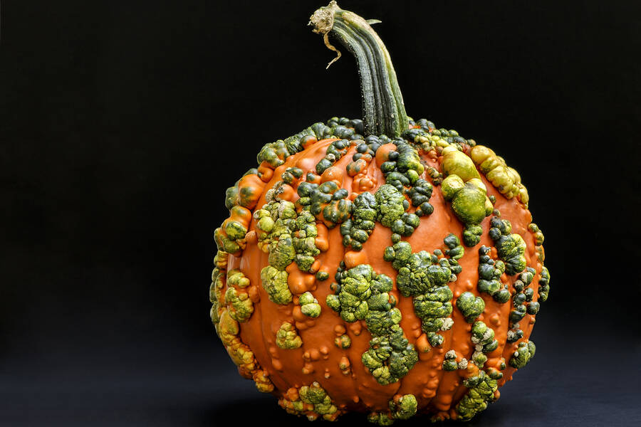 Listen to 40s radio stations from United States - best 40s stations for ...