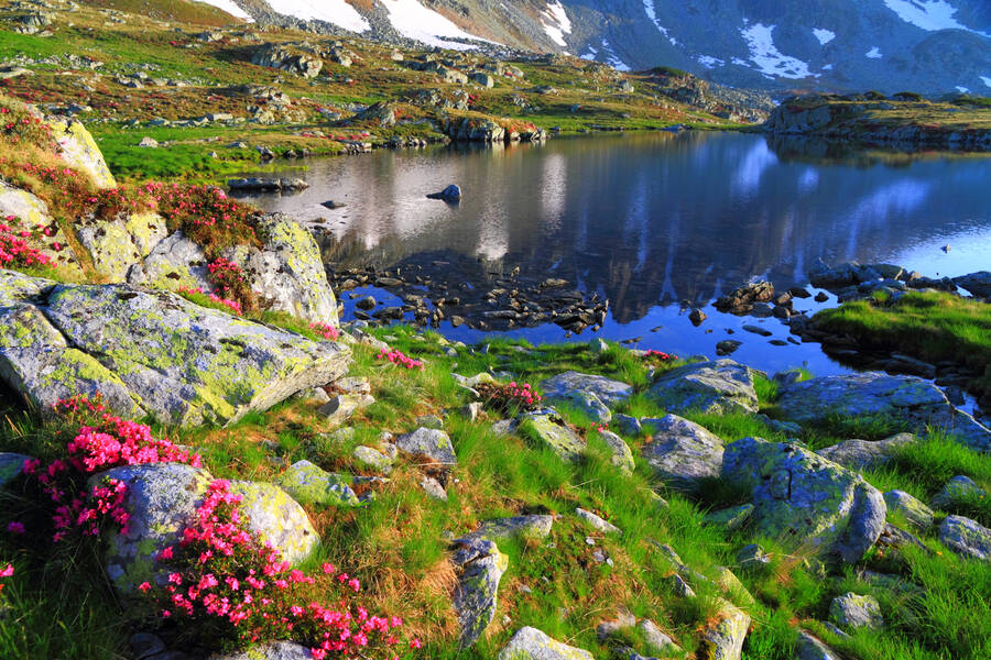 Darik Radio Слушайте на живо - 91.5 MHz FM, Шумен, България | Online Radio Box