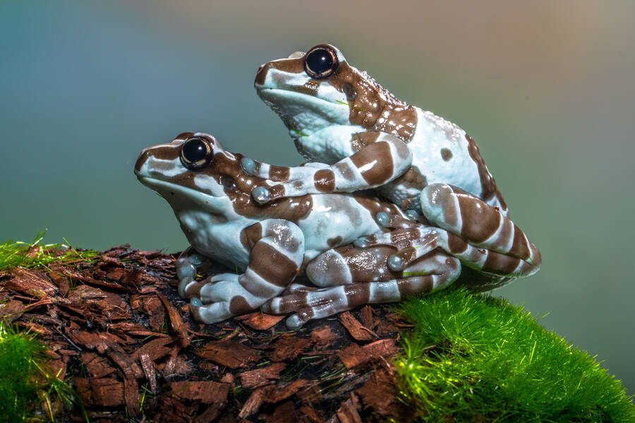 Talk 1300 AM - WGDJ Listen Live - Rensselaer, United States | Online ...