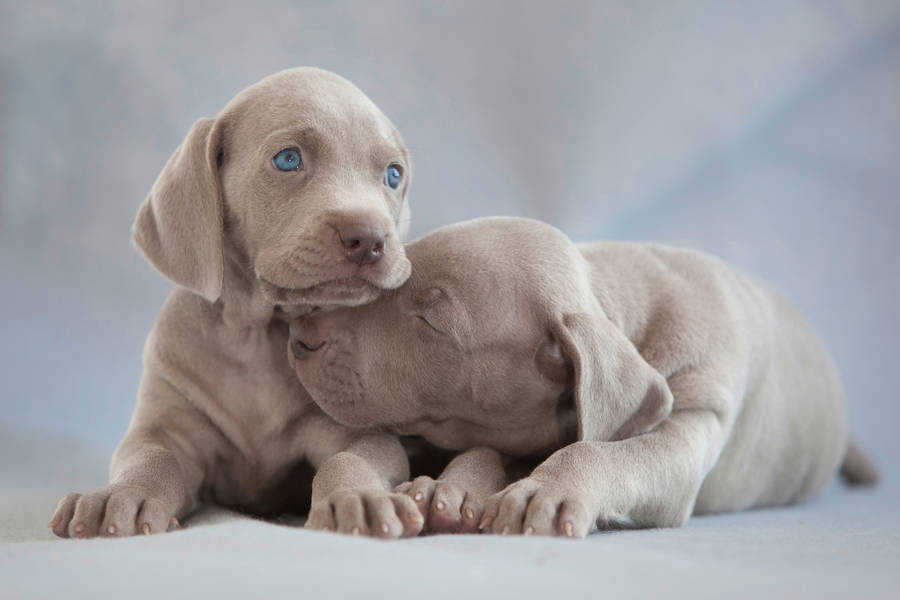 NewsRadio 95 WXTK Listen Live - 95.1 MHz FM, Yarmouth, United States ...