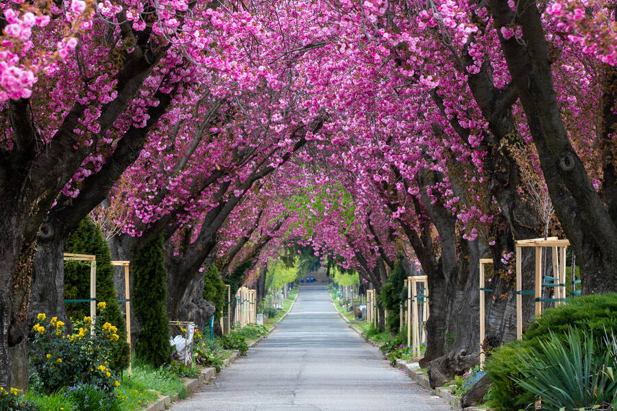 WLIK Listen Live - 1270 kHz AM, Newport, United States | Online Radio Box