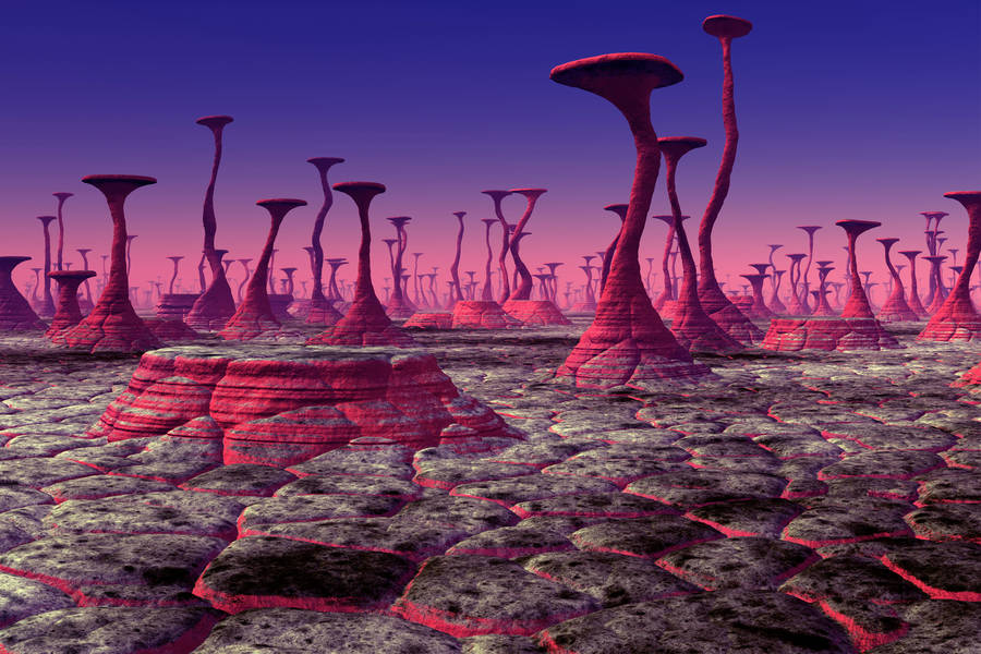 Choice FM live - London, United Kingdom | Online Radio Box