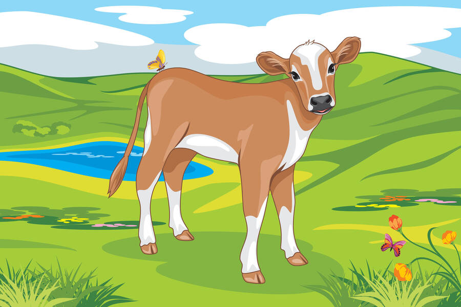 WDER Radio Listen Live - 92.1 FM, 1320 kHz AM, Derry, United States ...