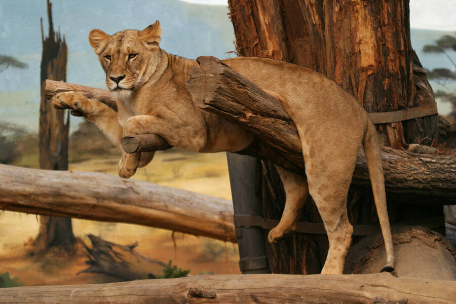 Classic Country 1520 KXA Listen Live - Everett, United States | Online ...