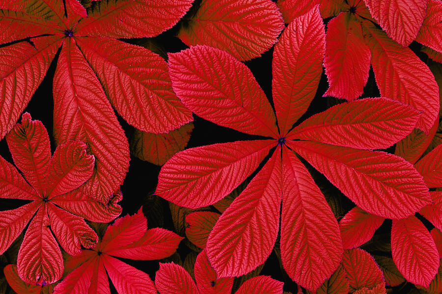 Q97 Listen Live - 97.3 MHz FM, Redding, United States | Online Radio Box