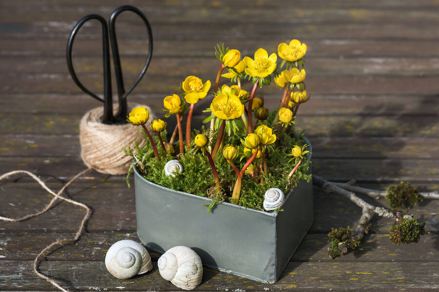 Blue Wave Studio - Deep into the Space (2021)