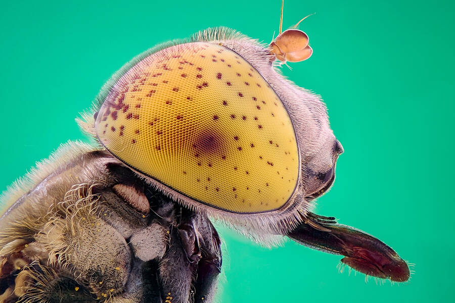 POWER 95 FM Listen Live - 95.1 MHz FM, Hamilton, Bermuda | Online Radio Box