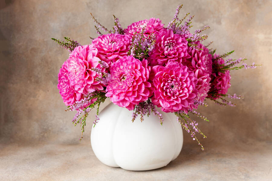 Tropical 100 - Suave en Vivo - Santiago de los Caballeros, República ...