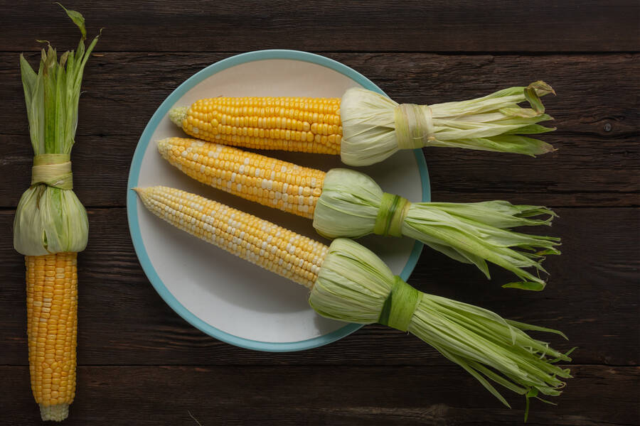 900AM WURD Listen Live - Philadelphia, United States | Online Radio Box