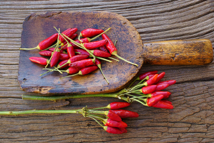 WOWO Listen Live - 1190 kHz AM, Fort Wayne, United States | Online ...