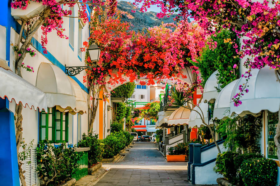 WBEJ Listen Live - 1240 kHz AM, Elizabethton, United States | Online ...