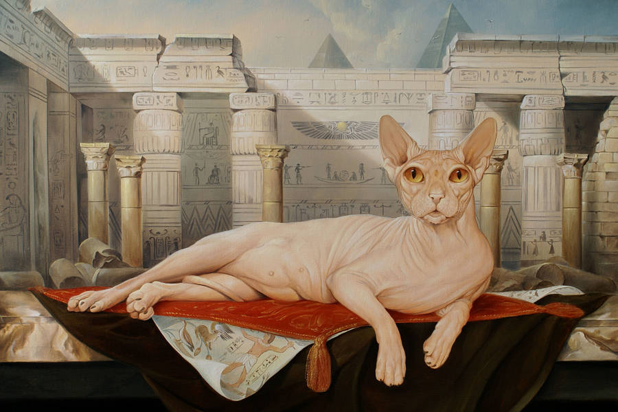 KREM Radio Listen Live - 91.1-101.1 MHz FM, Belize City, Belize ...