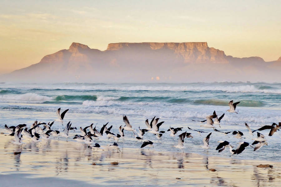 101.5 Bob Rocks Listen Live - Waynesboro, United States | Online Radio Box