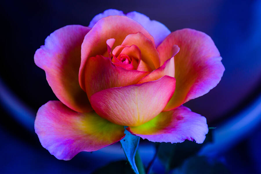 WWL 870 AM Listen Live - New Orleans, United States | Online Radio Box