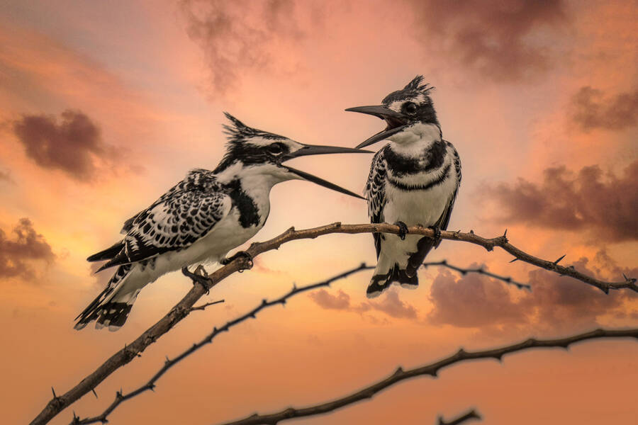 Life 103.1 FM - WLHC Listen Live - Robbins, United States | Online ...