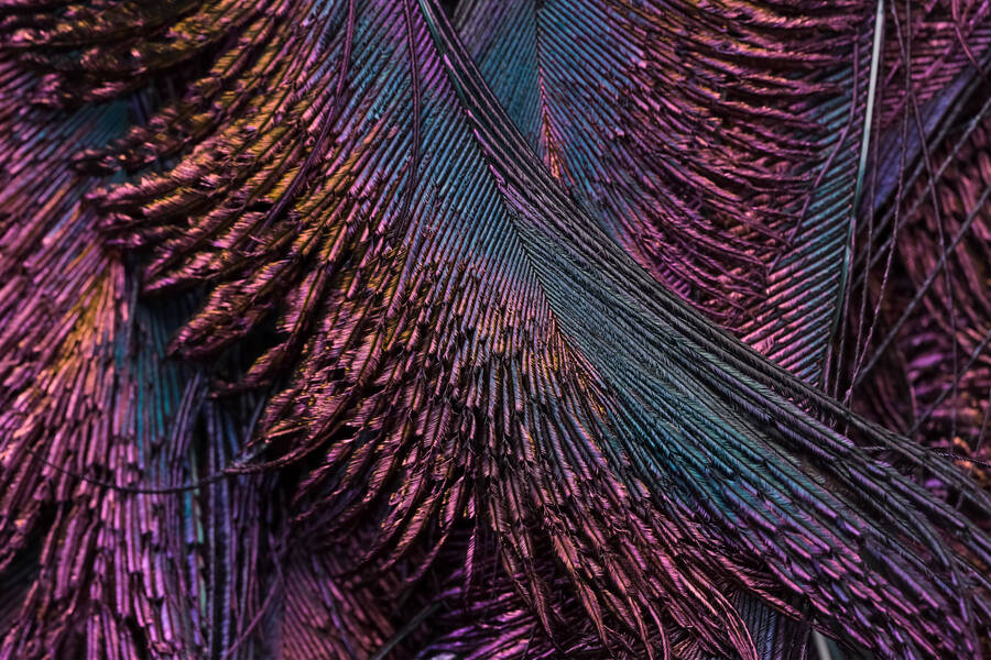 98.5 KYGO Listen Live - Denver, United States | Online Radio Box