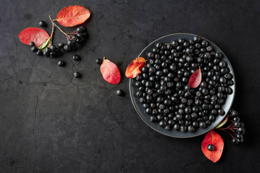 Radio ZDK Listen Live - 97.1 MHz FM, St John's, Antigua and Barbuda ...