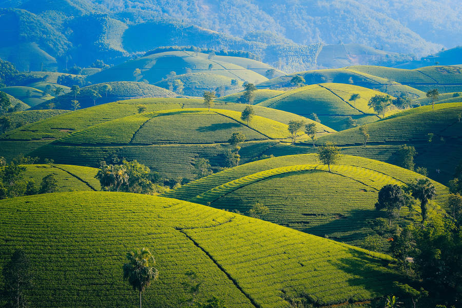 KDLS Listen Live - 1310 kHz AM, Perry, United States | Online Radio Box