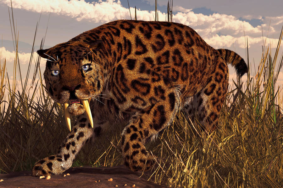 Playlist Rádio Ding - 90s - lista de musicas tocadas | Online Radio Box