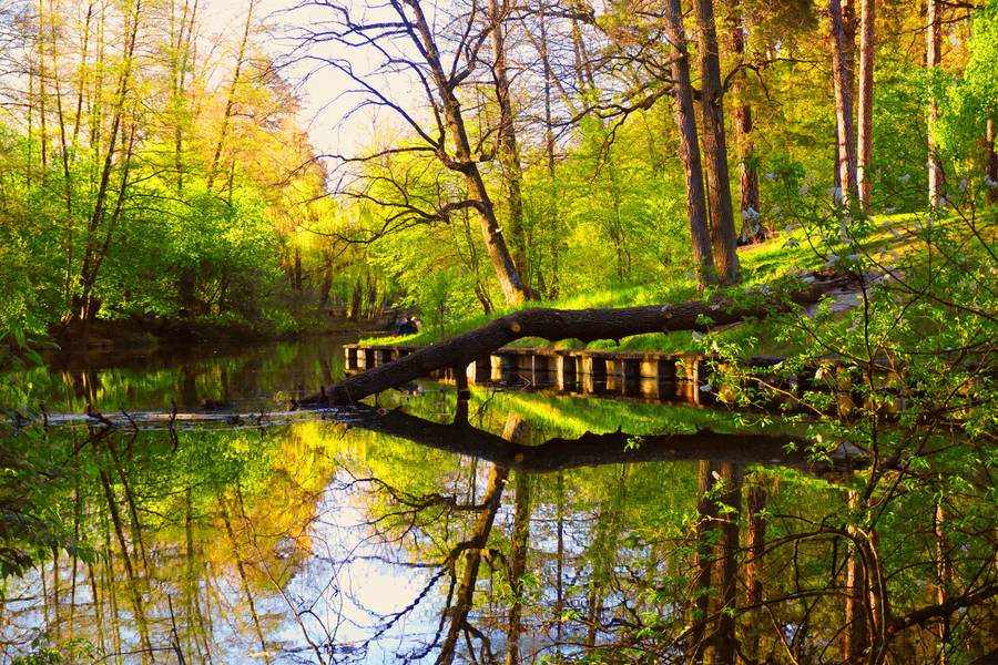 Magic 92.5 FM Listen Live - San Diego, United States | Online Radio Box