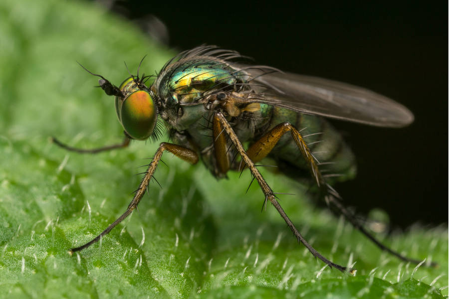 Kiss92 live - 92.0 MHz FM, Singapore | Online Radio Box