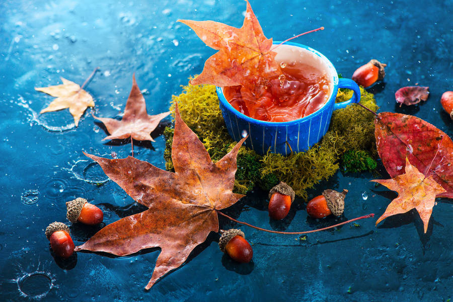 1290 WJNO Listen Live - West Palm Beach, United States | Online Radio Box