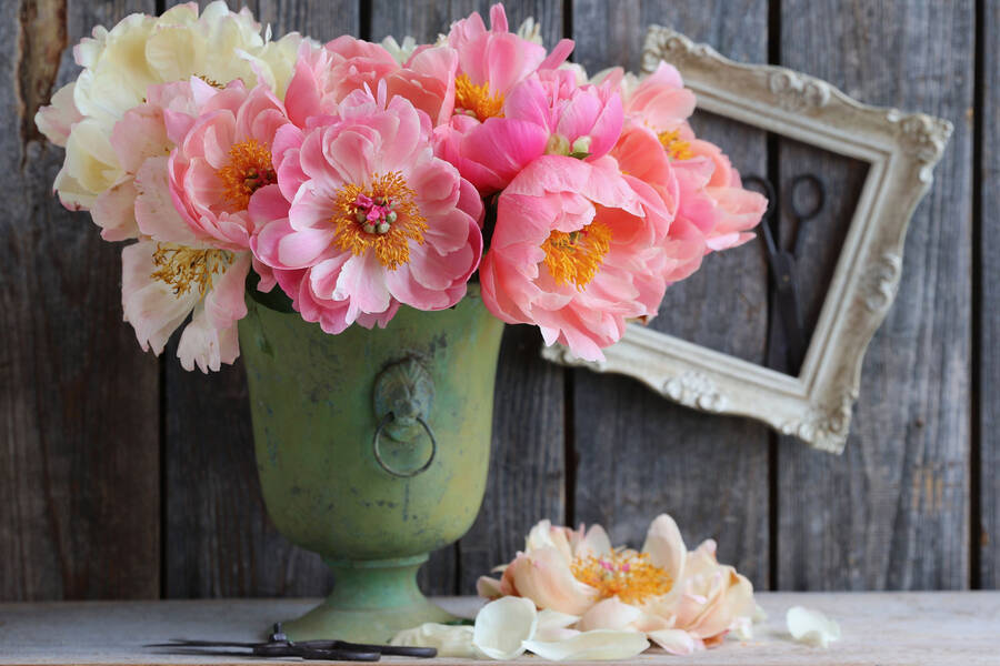 News-Talk 1380 WAOK Listen Live - Atlanta, United States | Online Radio Box