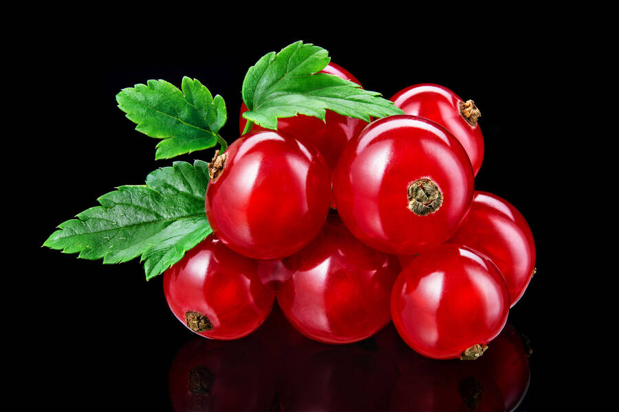 WKUL 92.1 FM Listen Live - Cullman, United States | Online Radio Box