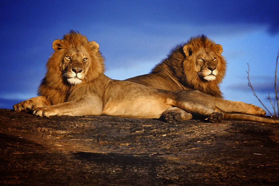 WLRN Classical - WLRN-HD2 91.3 FM Listen Live - Miami, United States ...