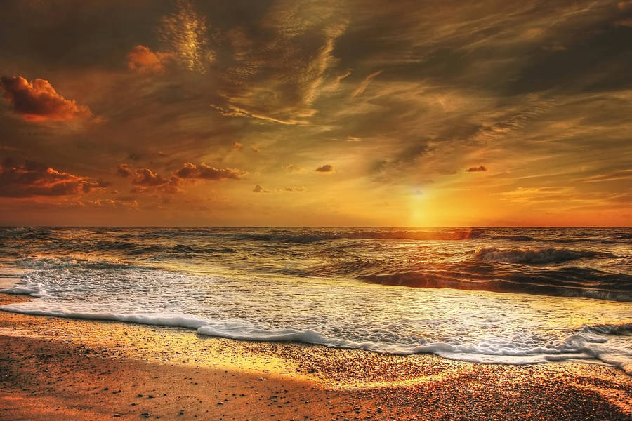 WUNH 91.3 FM Listen Live - Durham, United States | Online Radio Box