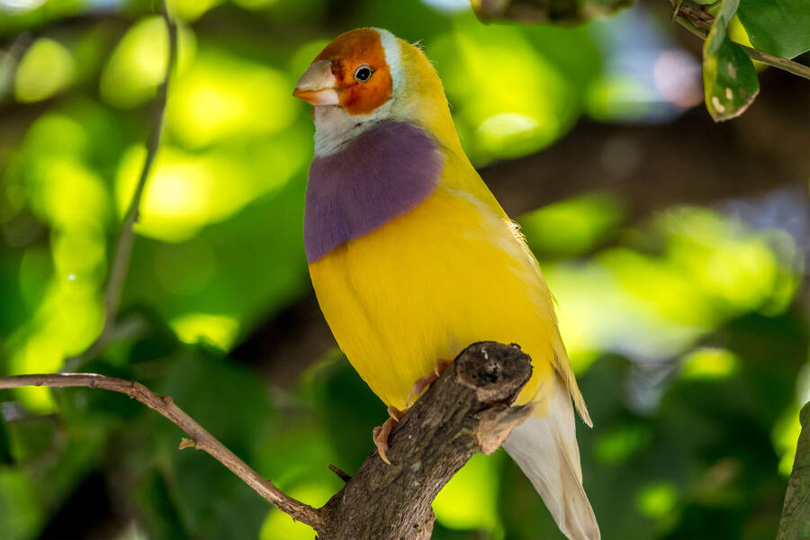 KVNU Listen Live - 610 kHz AM, Logan, United States | Online Radio Box