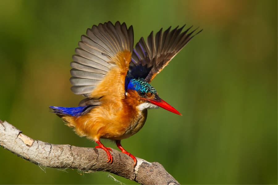 Magic 102.5 FM Listen Live - Beaumont, United States | Online Radio Box