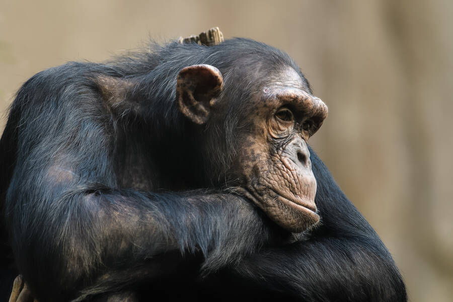 WSJY - FM 107.3 Listen Live - Fort Atkinson, United States | Online ...