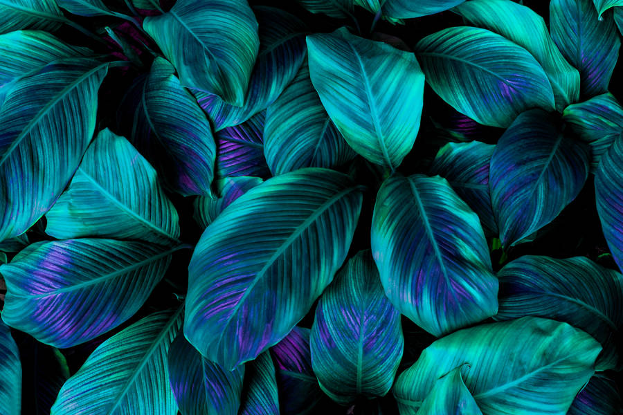 Woonsocket Radio Listen Live - Woonsocket, United States | Online Radio Box