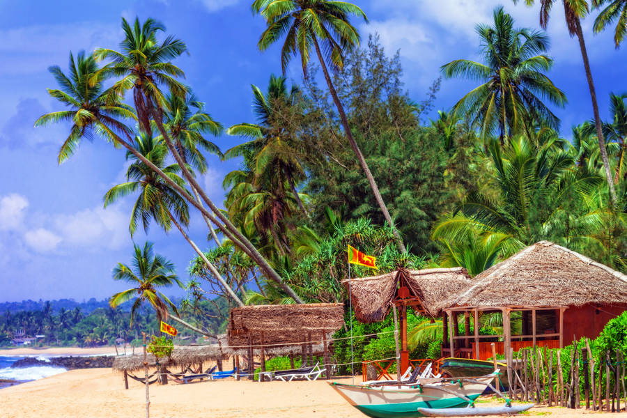 Current time in Sri Lanka, Local Time Zone, DST information | Dayspedia